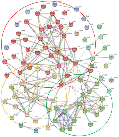 IJMS | Free Full-Text | Secreted Amyloid Precursor Protein Alpha (sAPPα ...