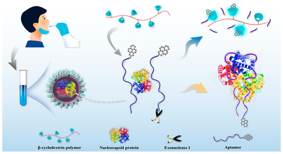 β-Cyclodextrin Polymer-Based Fluorescence Enhancement Strategy via Host–Guest Interaction for ...