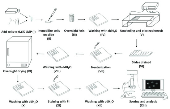 IJMS | Free Full-Text | Development of a Novel, Automated High ...