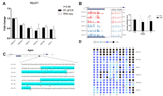 DNA Demethylation of Myogenic Genes May Contribute to Embryonic Leg ...