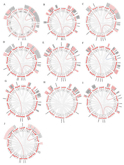 IJMS | Free Full-Text | Genome-Wide Identification and Expression Pattern Analysis of Dirigent ...