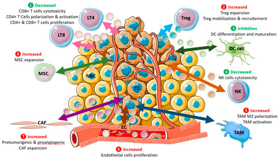 Extracellular Vesicles in Breast Cancer: From Biology and Function to ...