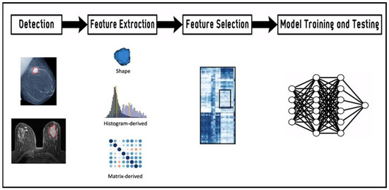 A Focus on the Synergy of Radiomics and RNA Sequencing in Breast Cancer