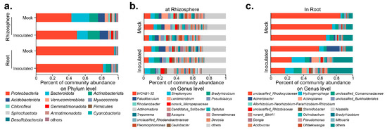 Bacillus paralicheniformis RP01 Enhances the Expression of Growth ...