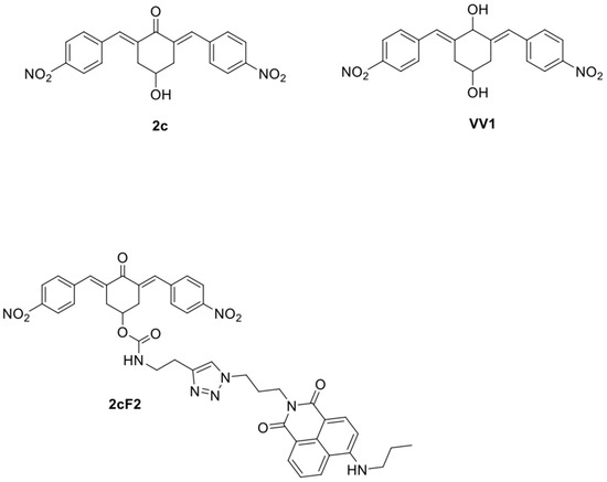 Nanomechanical Characterization of Ovarian Cancer Cell Lines as a ...