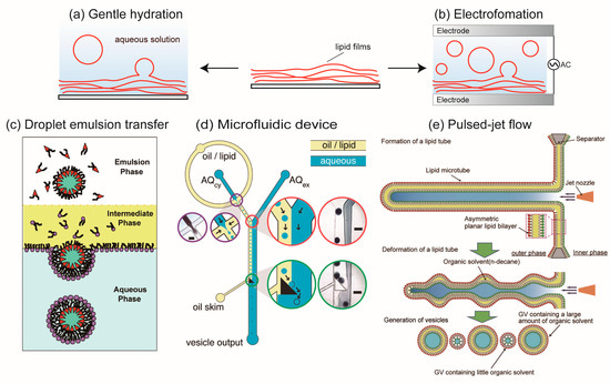 Function Investigations and Applications of Membrane Proteins on ...