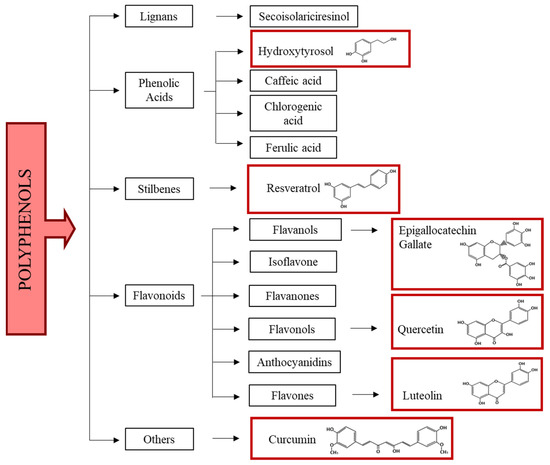 Dietary Polyphenols, Microbiome, and Multiple Sclerosis: From Molecular ...