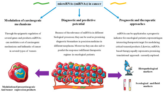 An Overview of the Role of MicroRNAs on Carcinogenesis: A Focus on Cell ...