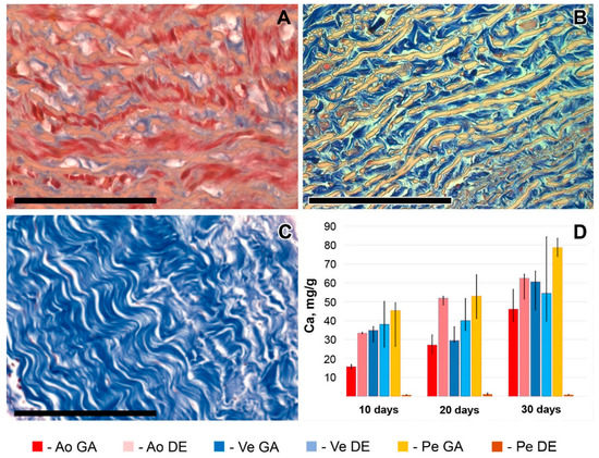Calcification of Various Bioprosthetic Materials in Rats: Is It Really ...