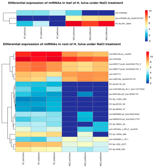 Integration of mRNA and miRNA Analysis Reveals the Post-Transcriptional ...