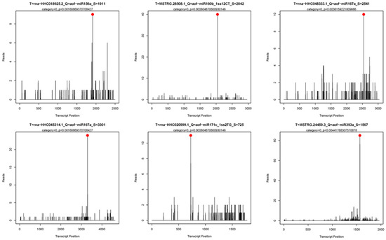 Integration of mRNA and miRNA Analysis Reveals the Post-Transcriptional ...