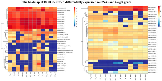 Integration of mRNA and miRNA Analysis Reveals the Post-Transcriptional ...