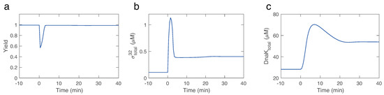 Automatic Generation of SBML Kinetic Models from Natural Language Texts ...