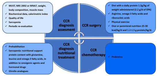 IJMS | Free Full-Text | The Diet as a Modulator of Tumor ...