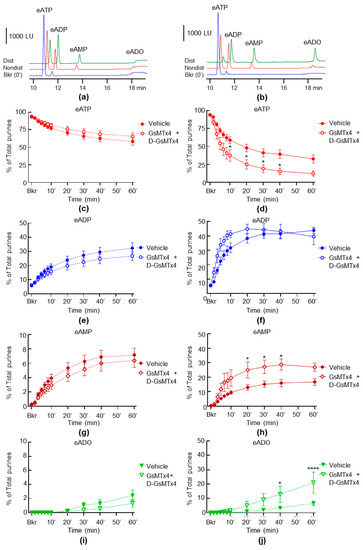 IJMS | Free Full-Text | Sensory Neurons, PIEZO Channels and PAC1 Receptors Regulate the ...