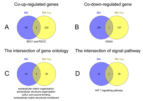 Identification of Signature Genes of Dilated Cardiomyopathy Using ...