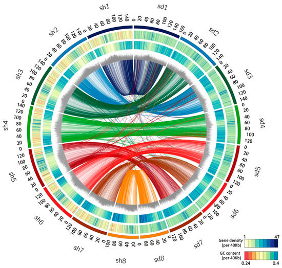 Chromosomal-Scale Genome Assemblies of Two Coastal Plant Species ...