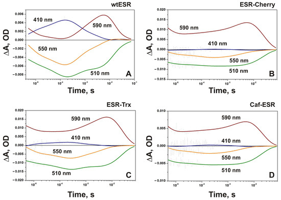 Oriented Insertion of ESR-Containing Hybrid Proteins in Proteoliposomes