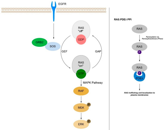 IJMS | Free Full-Text | Selected Approaches to Disrupting Protein ...