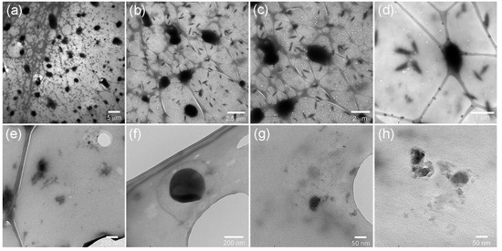 Characterization and In Vivo Assay of Allantoin-Enriched Pectin ...