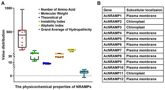 Systematic Analysis of NRAMP Family Genes in Areca catechu and Its ...