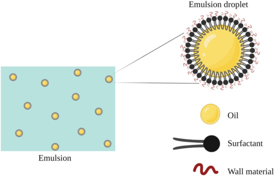Chia Oil and Mucilage Nanoemulsion: Potential Strategy to Protect a ...