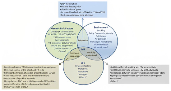 Epstein-Barr Virus and Multiple Sclerosis: A Convoluted Interaction and ...