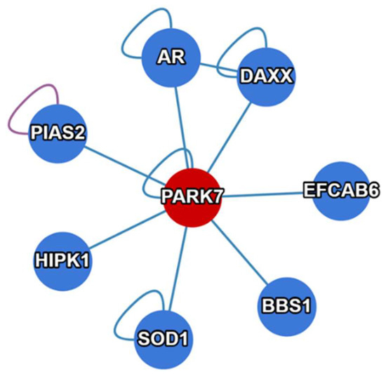 The Tale of DJ-1 (PARK7): A Swiss Army Knife in Biomedical and ...