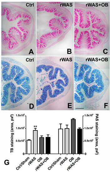 Otilonium Bromide Prevents Cholinergic Changes in the Distal Colon ...