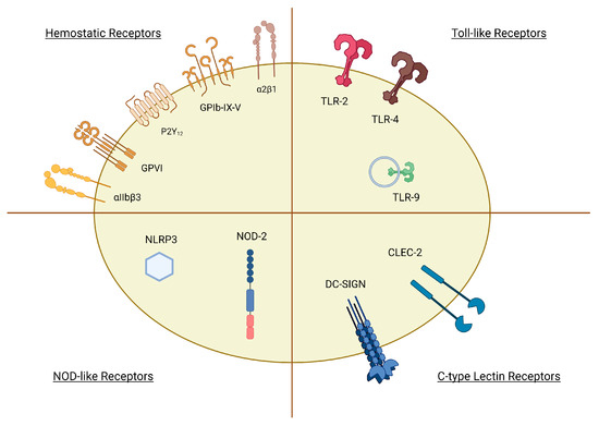 Blood Platelets in Infection: The Multiple Roles of the Platelet ...