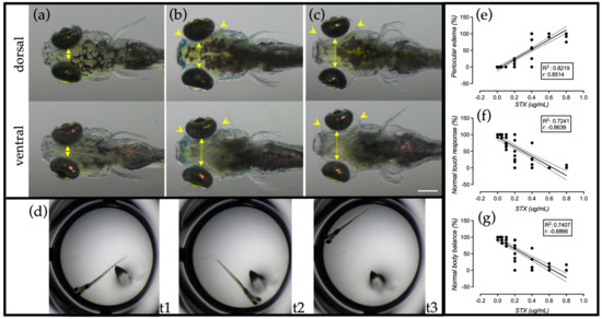 A New Bioassay for the Detection of Paralytic and Amnesic Biotoxins ...