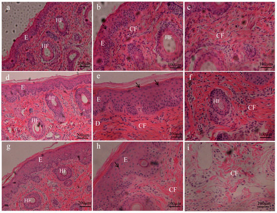 Preserving Porcine Genetics: A Simple and Effective Method for On-Site ...