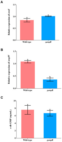 Two-Component System Response Regulator ompR Regulates Mussel ...