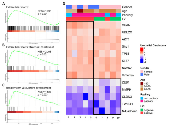 VCAN Hypomethylation and Expression as Predictive Biomarkers of Drug ...