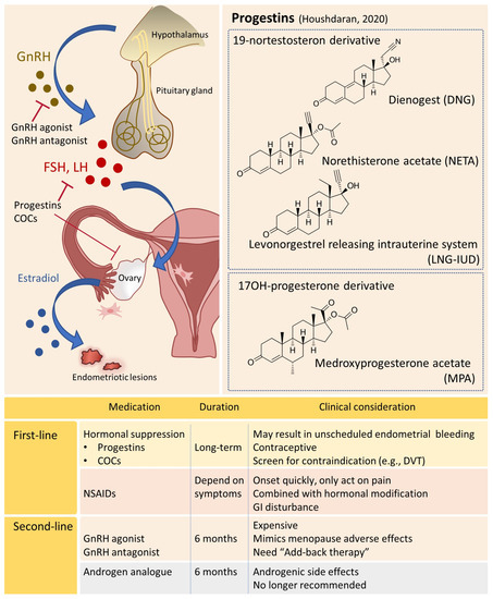 IJMS | Free Full-Text | A Lifelong Impact on Endometriosis ...