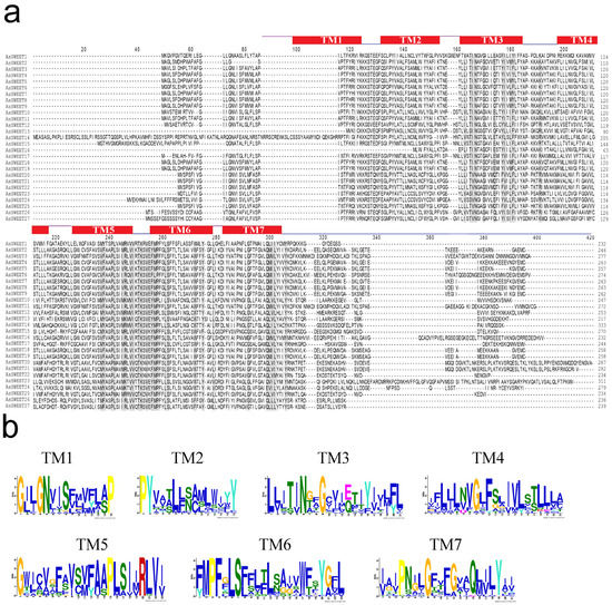 IJMS | Free Full-Text | Genome-Wide Identification, Expression, and Response to Fusarium ...