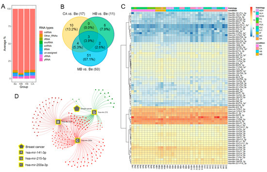 Circulating microRNA Biomarker for Detecting Breast Cancer in High-Risk ...