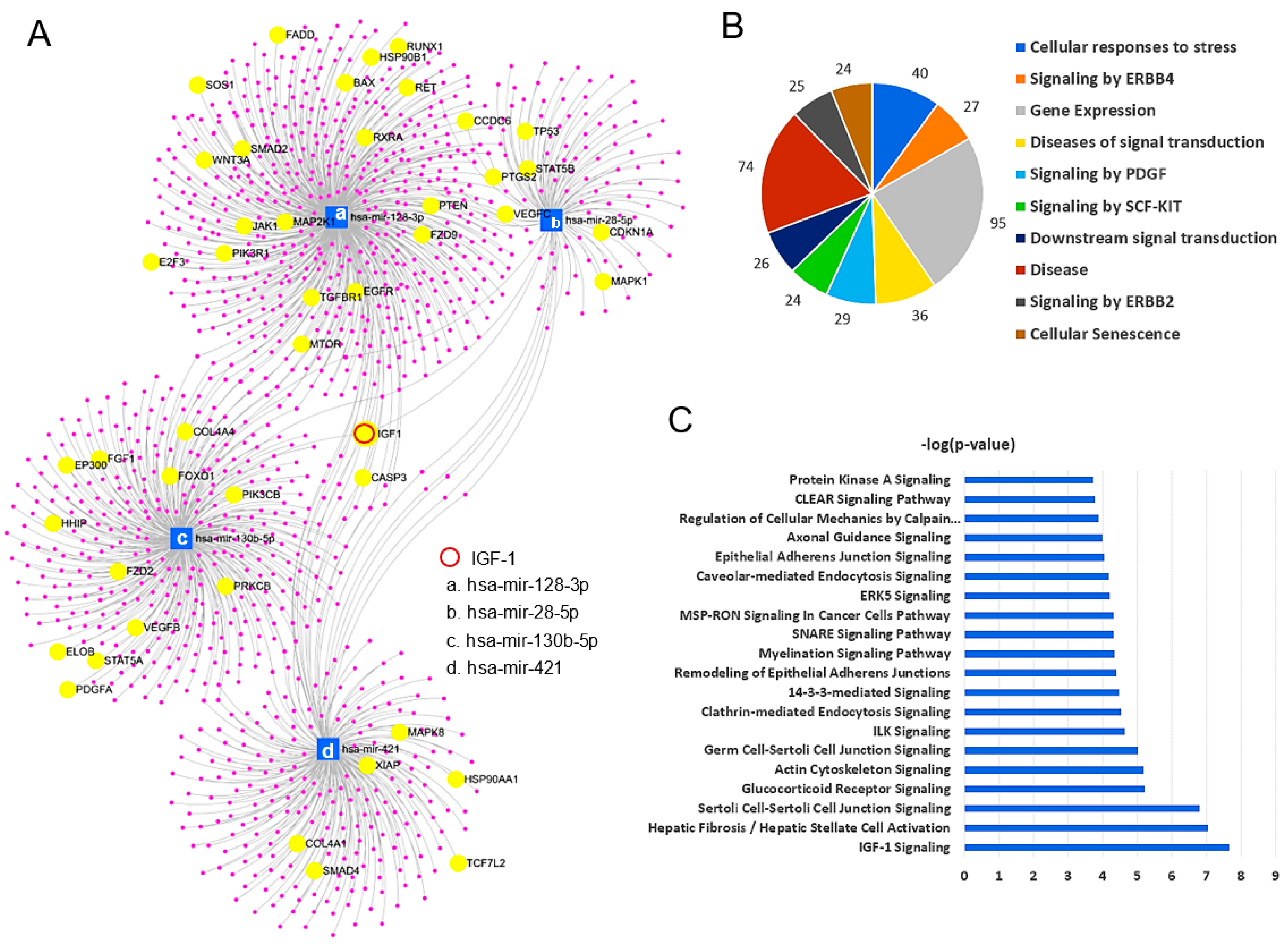 Circulating microRNA Biomarker for Detecting Breast Cancer in High-Risk ...