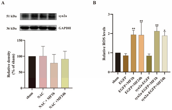 50 Hz Magnetic Field Exposure Inhibited Spontaneous Movement of ...
