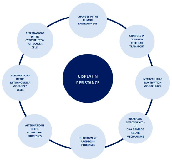 Cisplatin in Ovarian Cancer Treatment—Known Limitations in Therapy ...