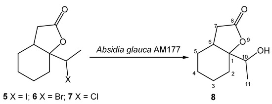 Microbial Transformations of Halolactones and Evaluation of Their ...