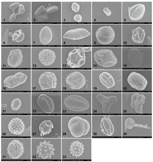 Pollen Molecular Identification from a Long-Distance Migratory Insect ...