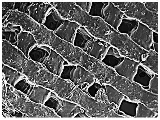 A 3D-Printed Biomaterial Scaffold Reinforced with Inorganic Fillers for ...