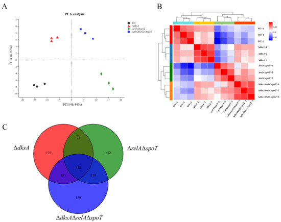 Transcriptomic Analysis Reveals Key Roles of (p)ppGpp and DksA in ...