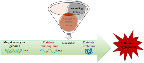 The Novel Role of Noncoding RNAs in Modulating Platelet Function ...