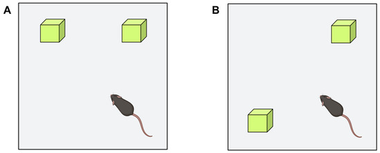 IJMS | Free Full-Text | Methods to Identify Cognitive Alterations from ...