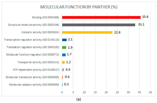 Shotgun Proteomics Analysis, Functional Networks, and Peptide ...