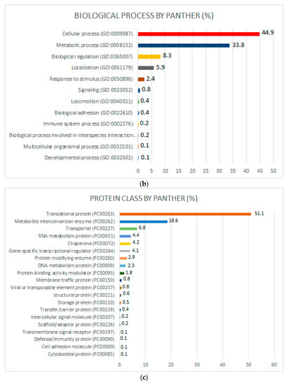 Shotgun Proteomics Analysis, Functional Networks, and Peptide ...