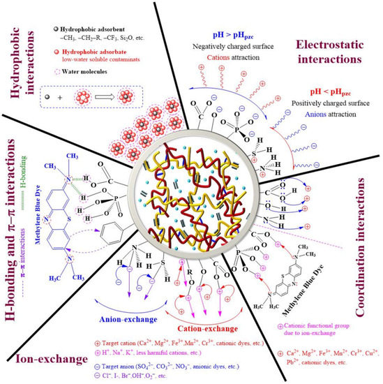 Advances in Application of Cellulose—MOF Composites in Aquatic ...