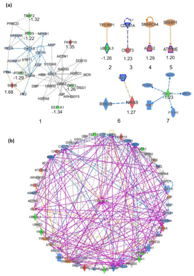 A Photoactivated Ru (II) Polypyridine Complex Induced Oncotic Necrosis ...